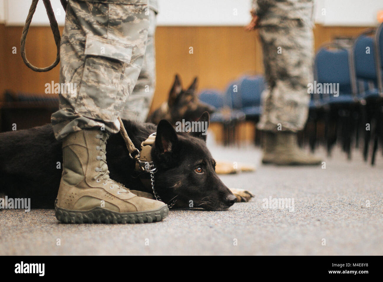 Military working dog memorial service hi-res stock photography and ...