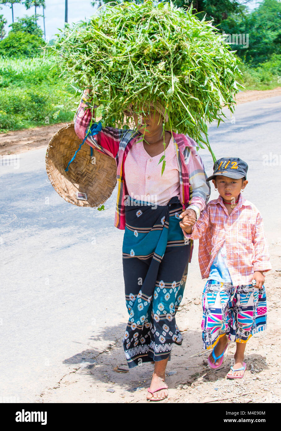 Burmese farmer working on a field in Shan state Myanmar Stock Photo - Alamy