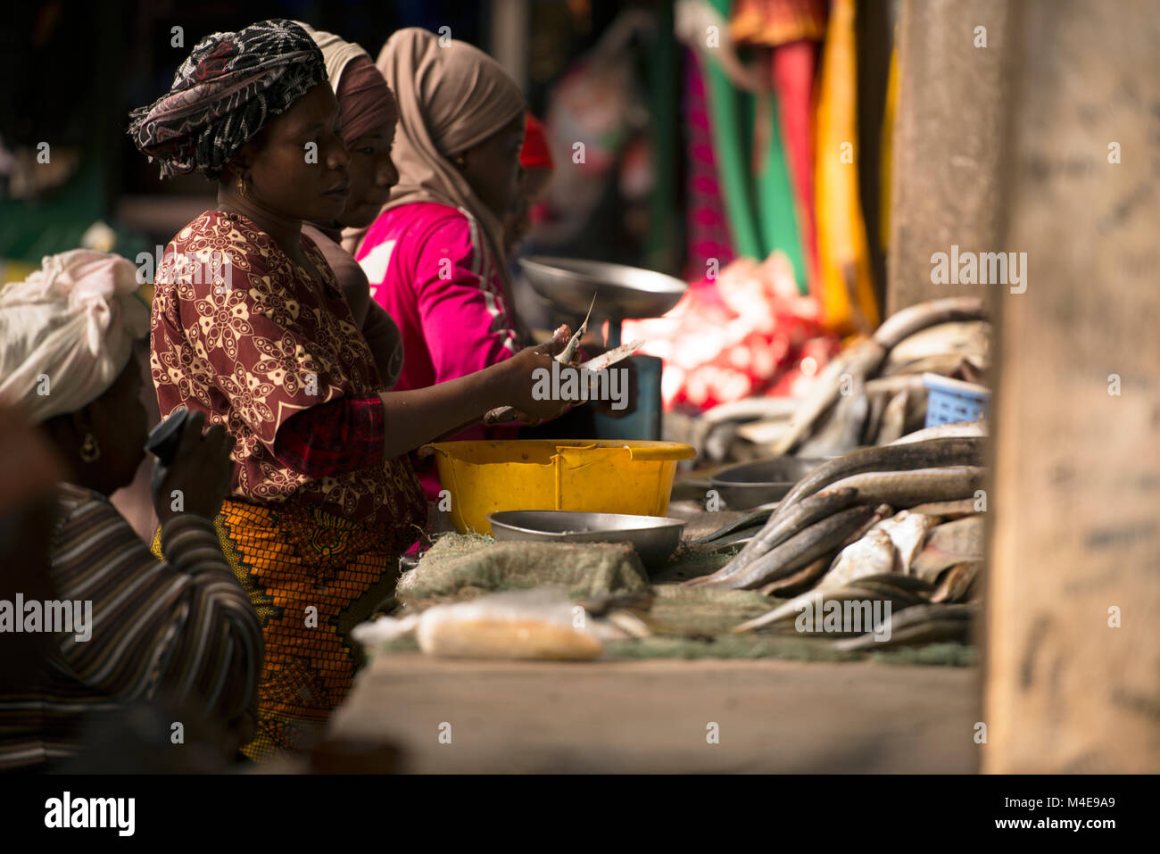 An indigenous Jola woman skins fish at a local market in Senegal, West ...