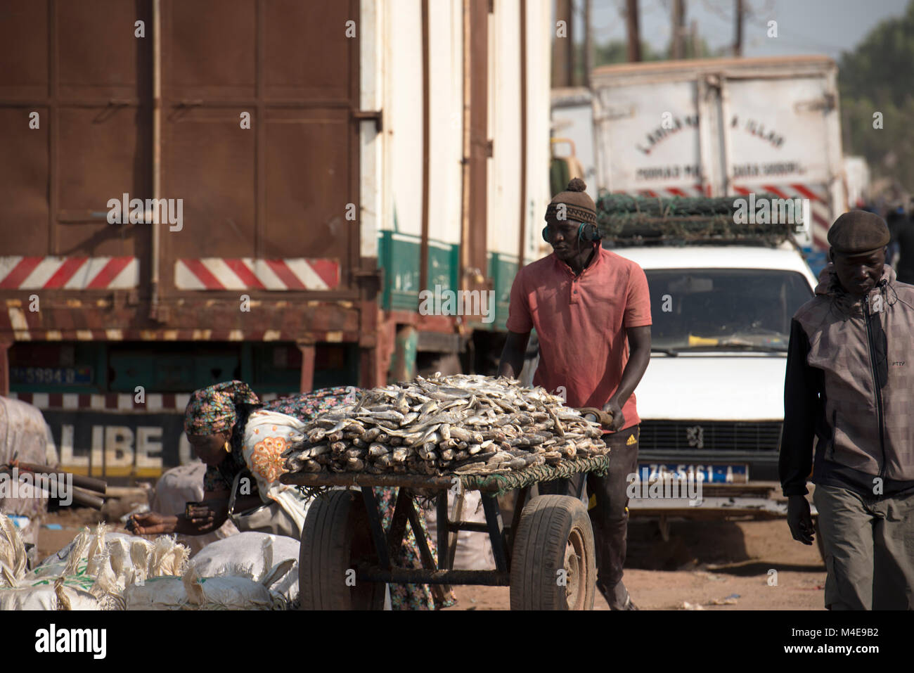 An indigenous Jola man carts fresh fish to sell in the market place in ...