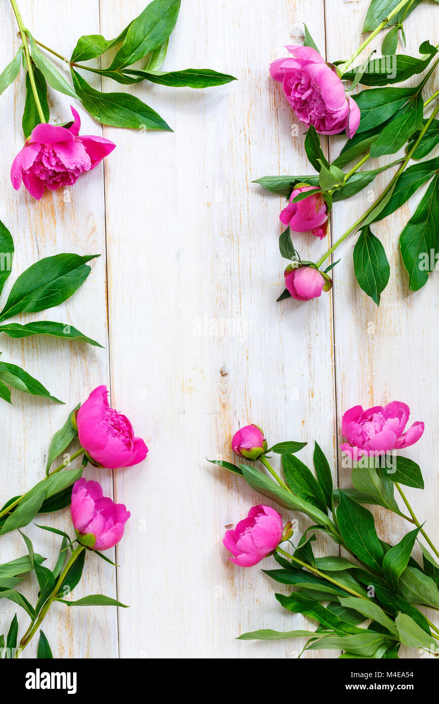 Peonies High Resolution Stock Photography and Images - Alamy