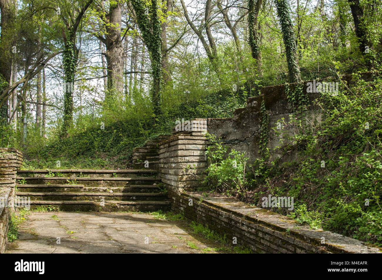 Paths with stairs in park Stock Photo - Alamy