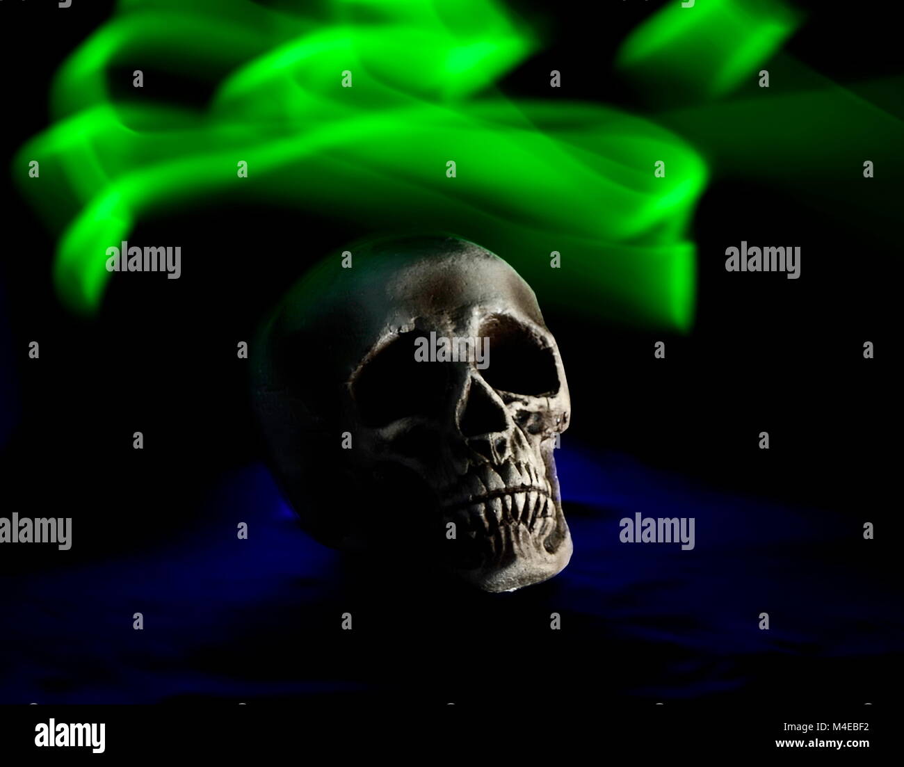 Human setting hi-res stock photography and images - Alamy