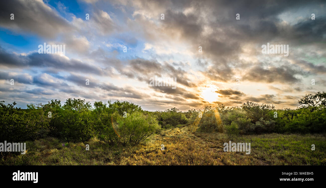 Laredo Texas Scenery Max A. Mandel Municipal Golf Club | Troon Rewards