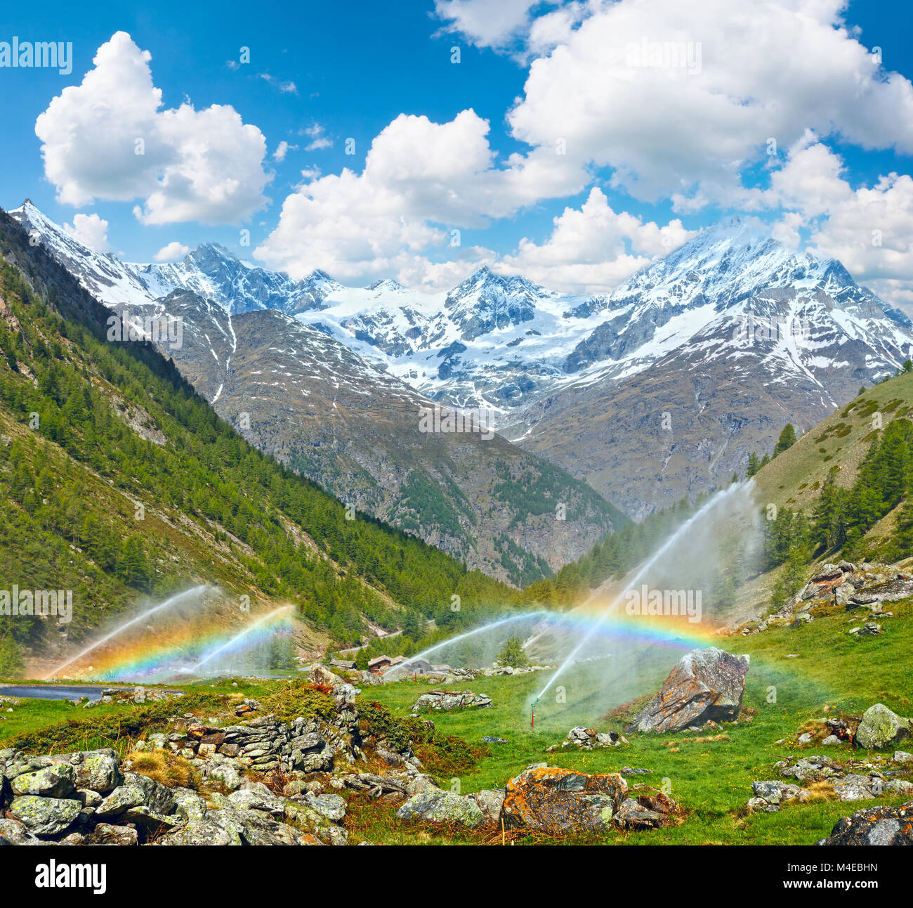 Rainbows in irrigation water spouts in Summer Alps mountain Stock Photo ...