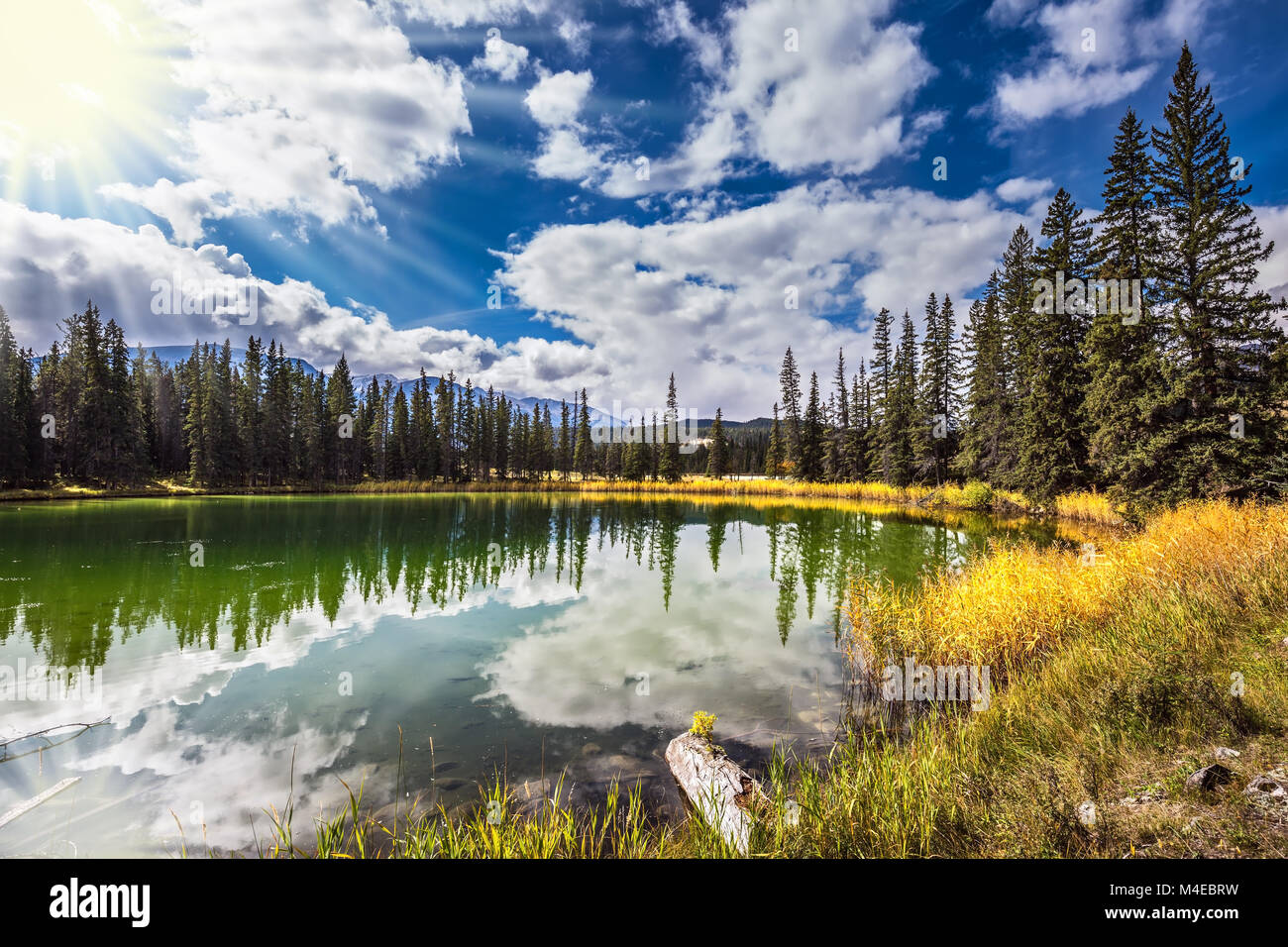 Canadian forests hi-res stock photography and images - Alamy
