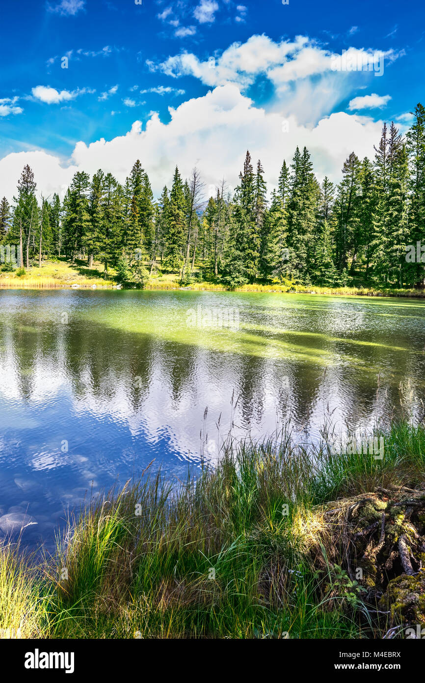 Adorable round lake Stock Photo - Alamy