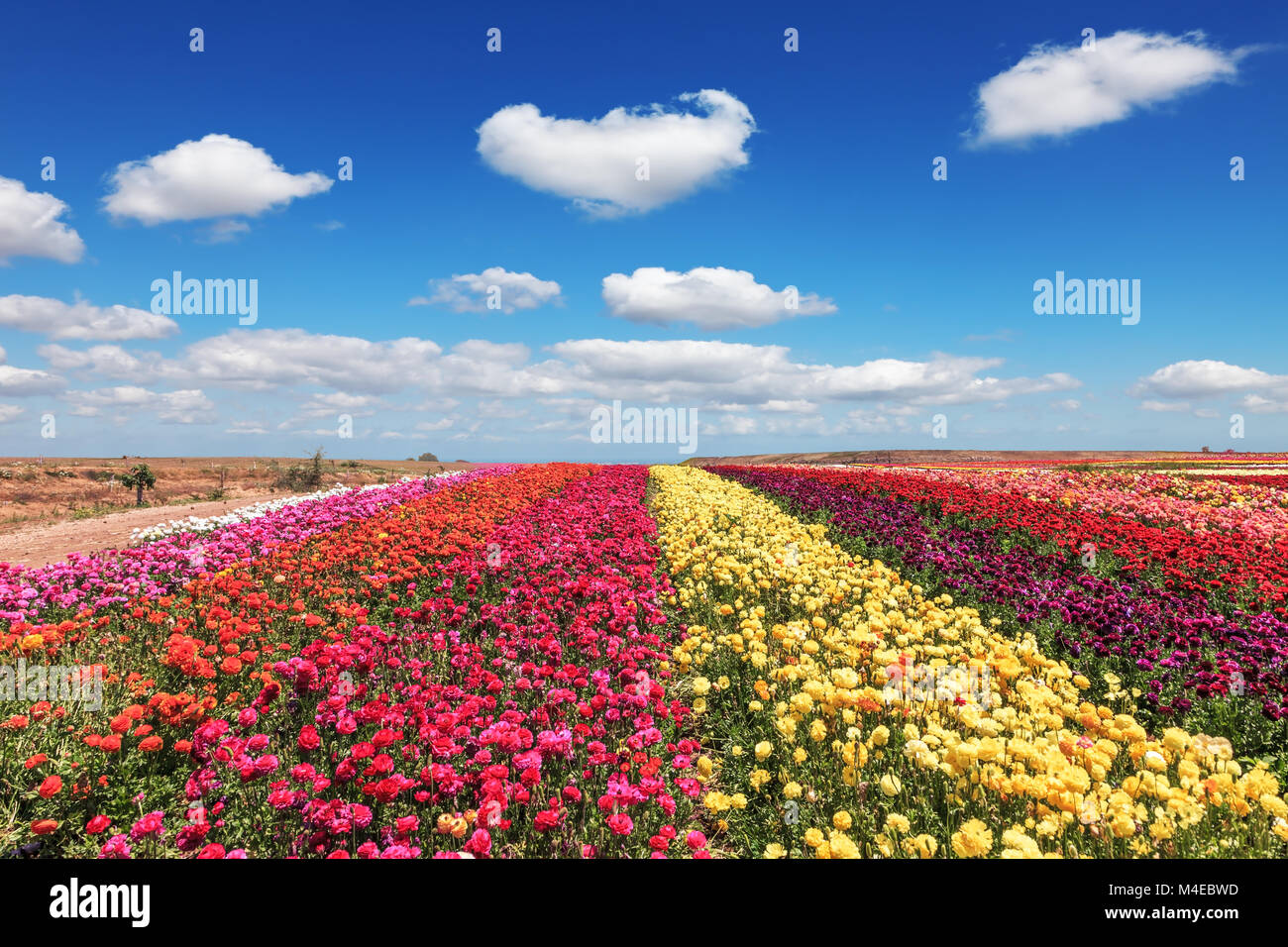 Fine day hi-res stock photography and images - Alamy