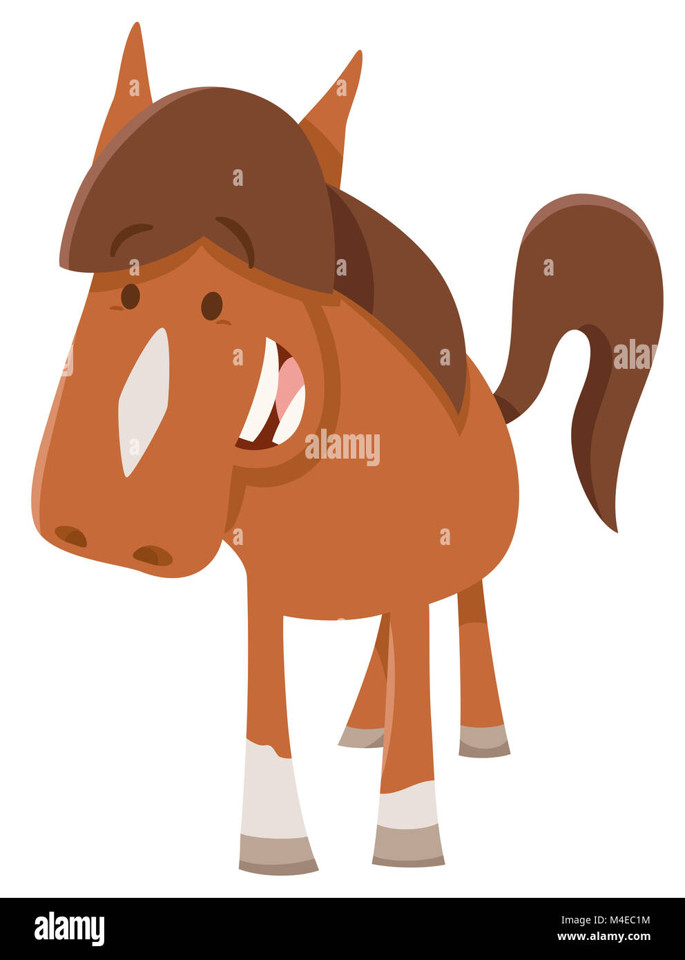 cute horse pony farm animal Stock Photo - Alamy
