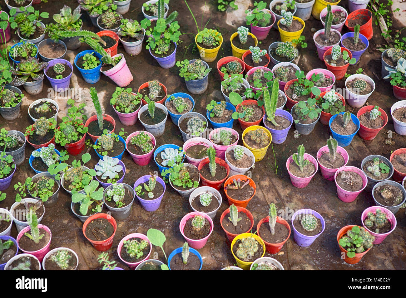 Flower pots hi-res stock photography and images - Alamy