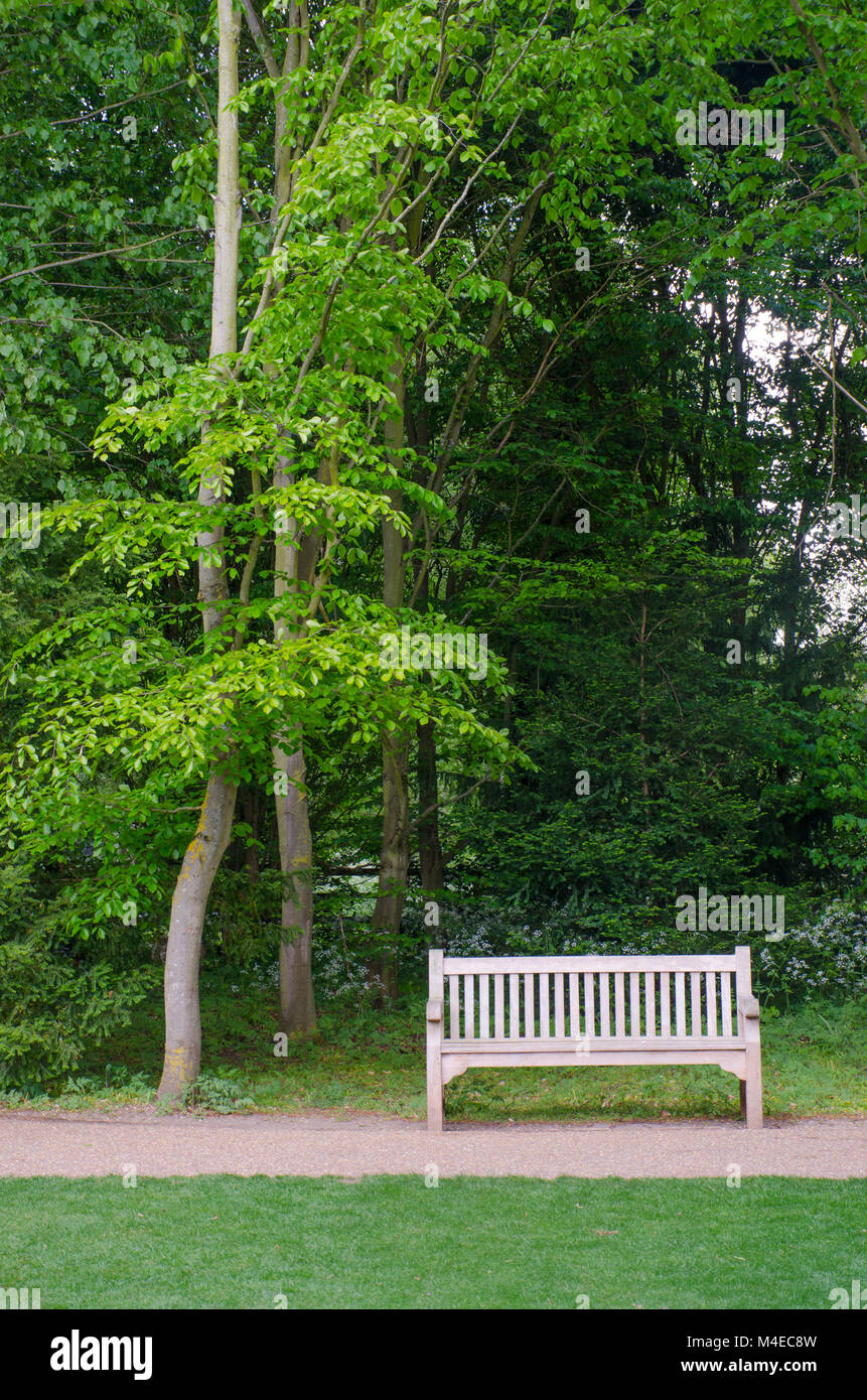Garden seating under trees hi-res stock photography and images - Alamy
