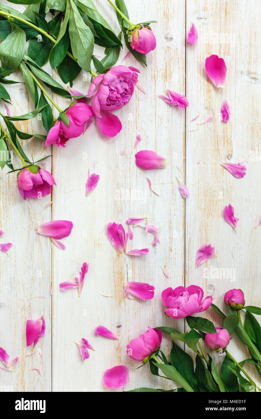 Pink petals hi-res stock photography and images - Alamy