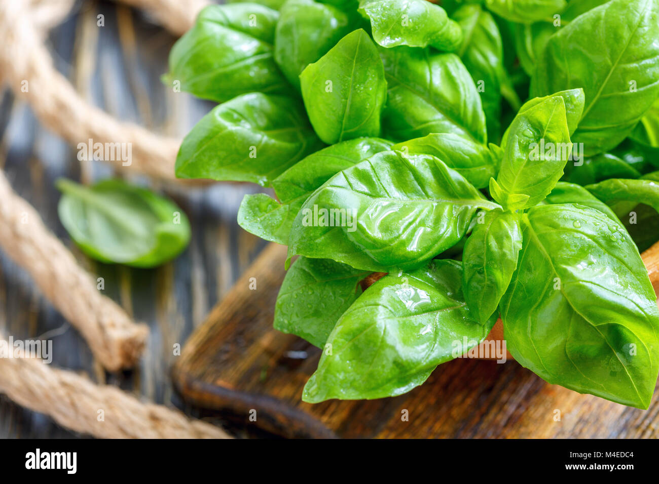 Basil water drops hi-res stock photography and images - Alamy