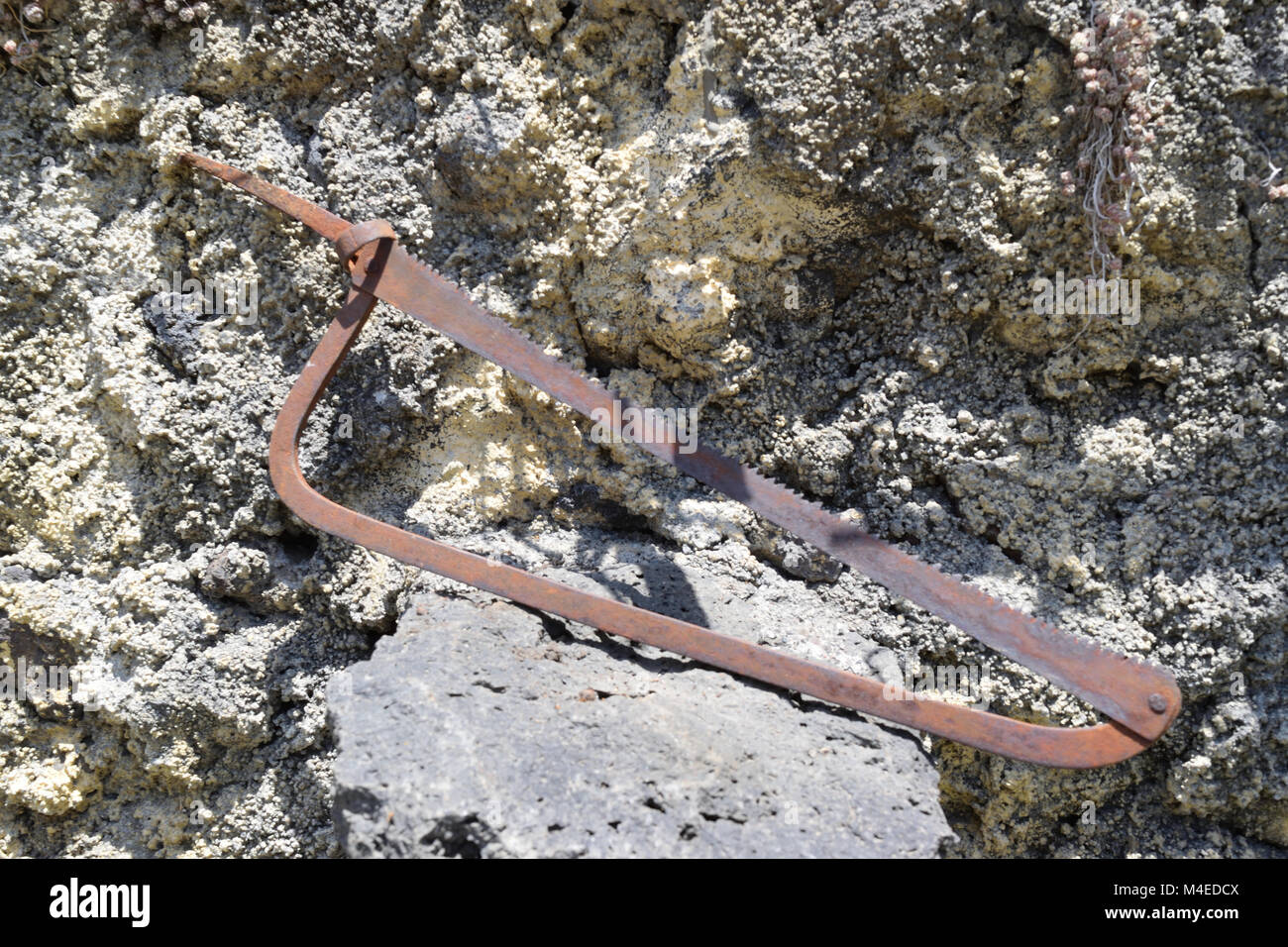 Old rusty saw Stock Photo - Alamy