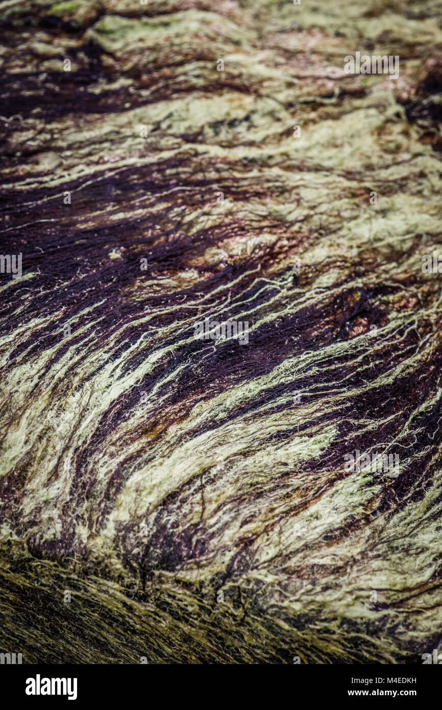 Black and white texture of sea grass Stock Photo - Alamy