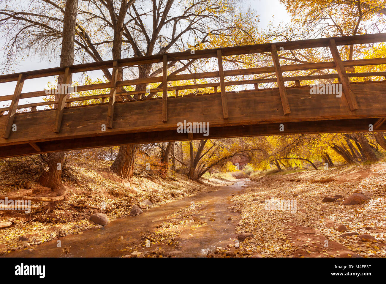 Bridge in autumn forest Stock Photo - Alamy