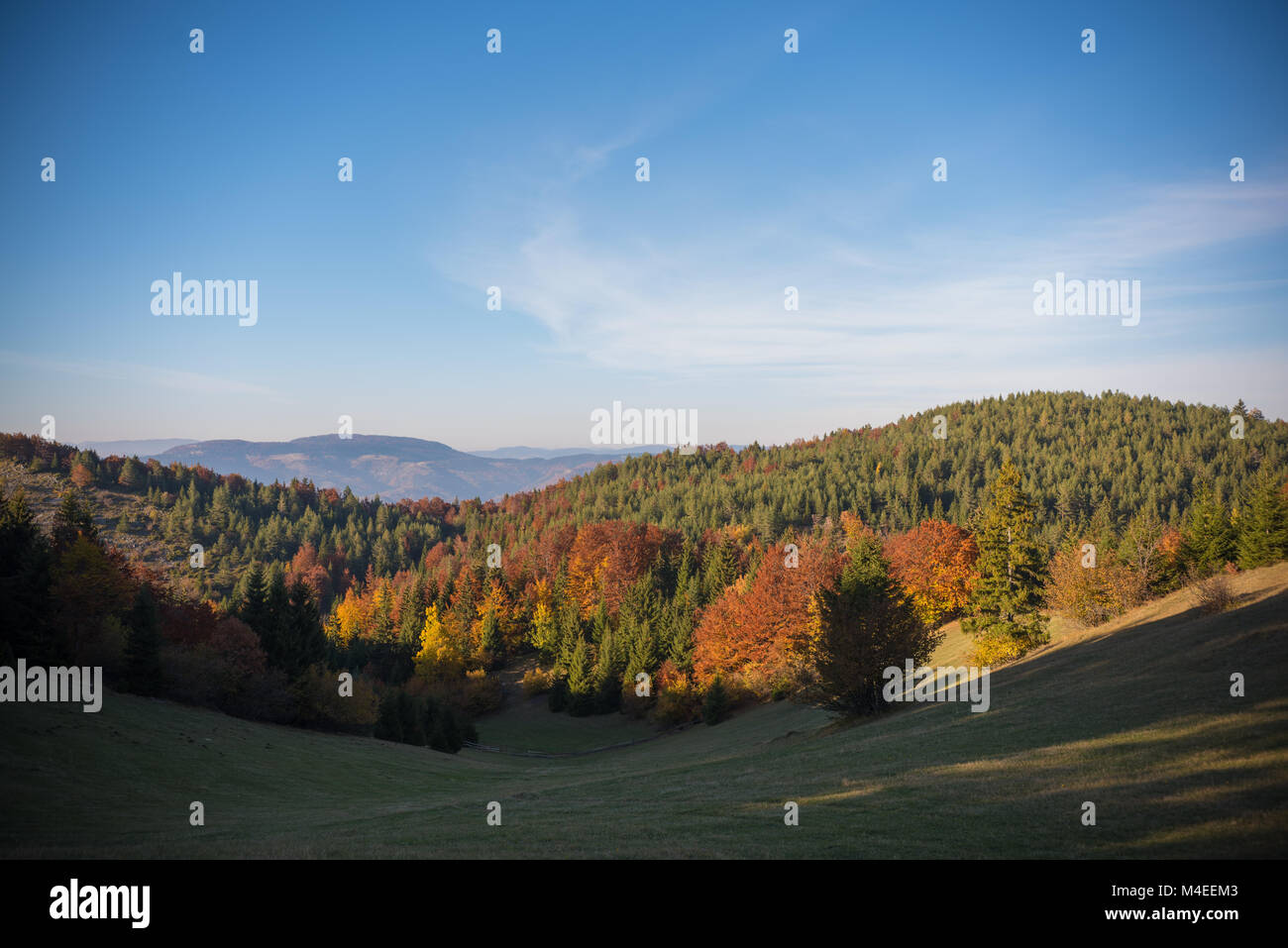 Rural forest landscape, Sarajevo, Bosnia and Herzegovina Stock Photo ...