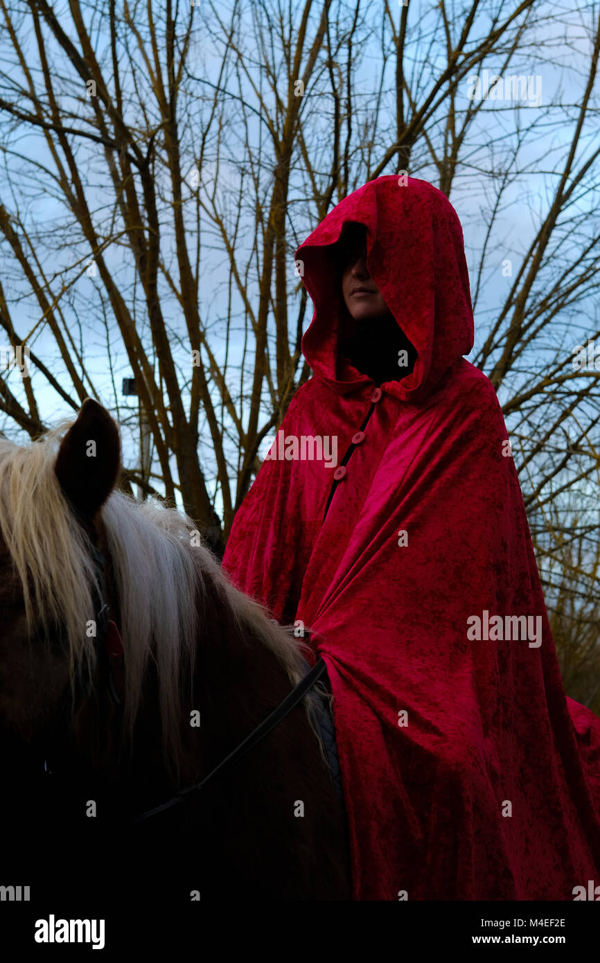 Cape riding horse hi-res stock photography and images - Alamy