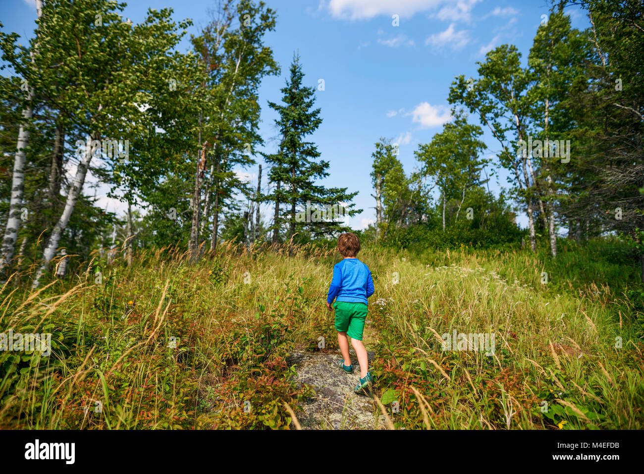 Boy walking along a forest trail Stock Photo - Alamy