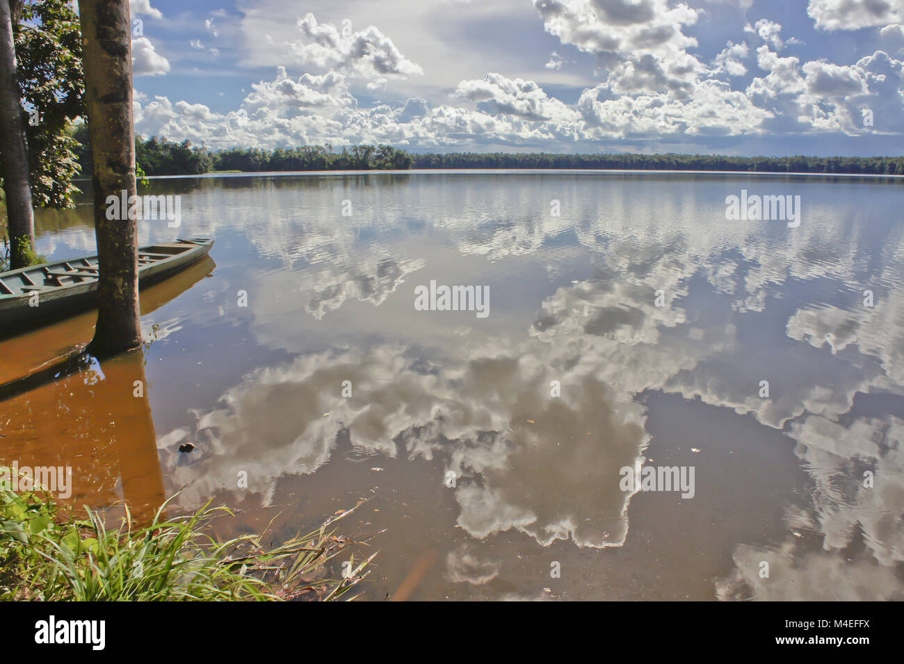 Peru amazon basin hi-res stock photography and images - Alamy