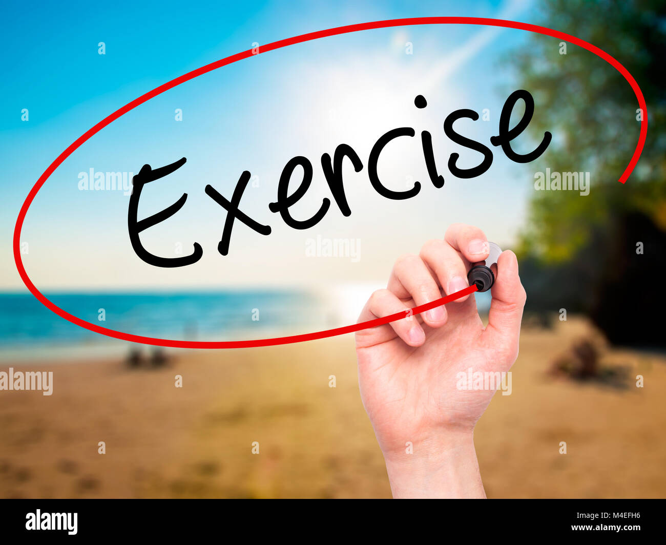 Writing exercise hi-res stock photography and images - Alamy