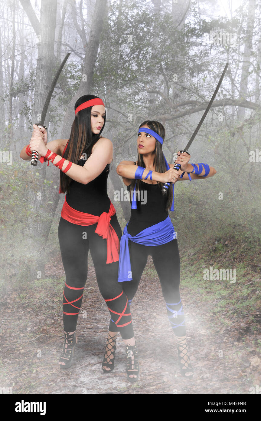 Swordsmen High Resolution Stock Photography and Images - Alamy