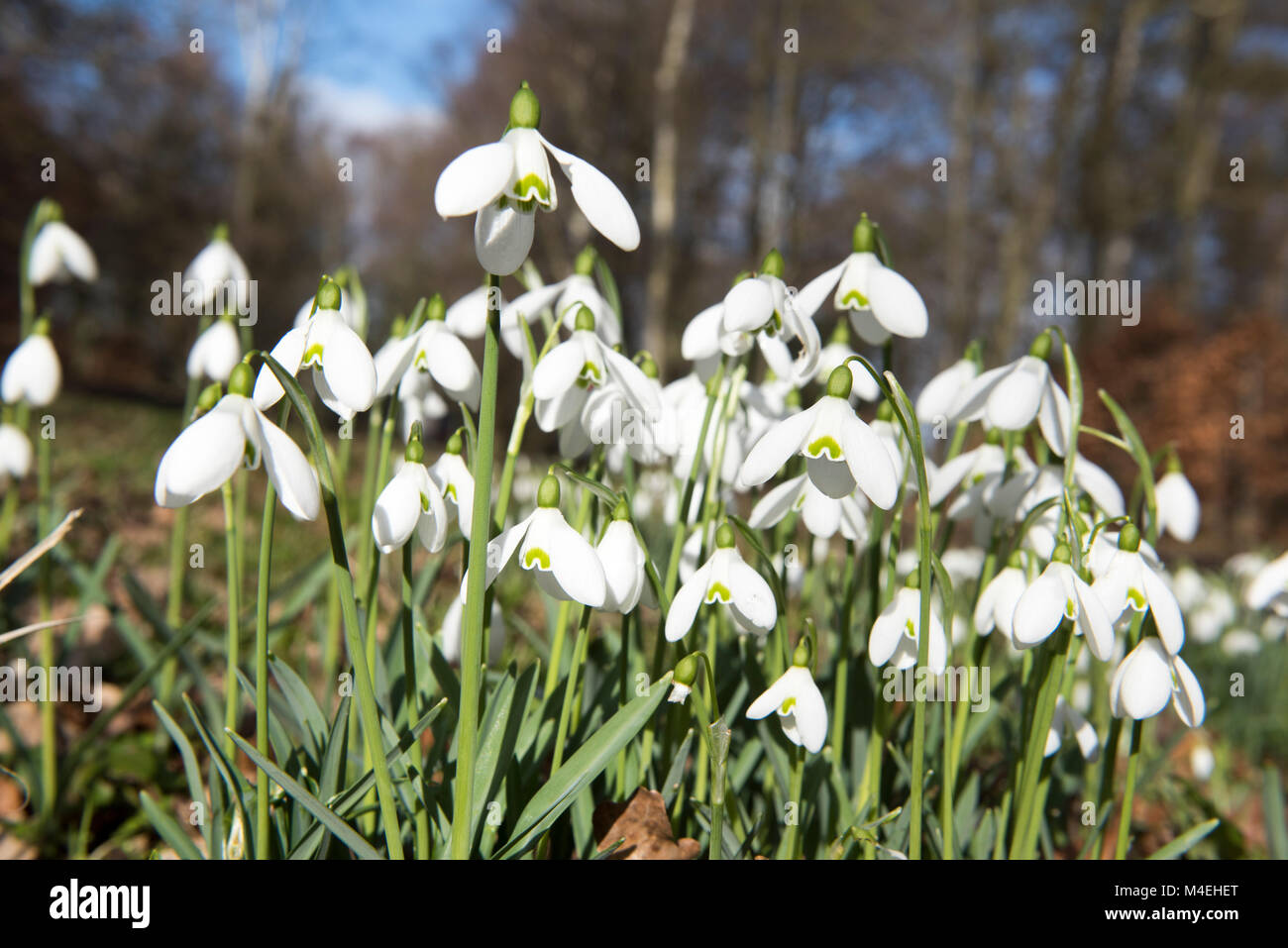 Tracey whitefoot hi-res stock photography and images - Alamy
