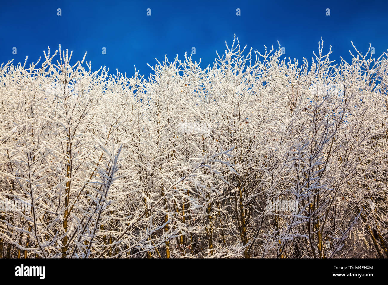 Northern temperature hi-res stock photography and images - Alamy