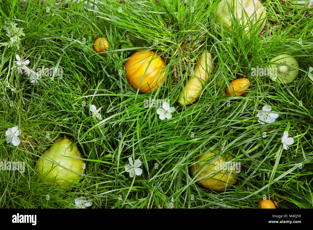 White flowers and fruits on grass Stock Photo - Alamy