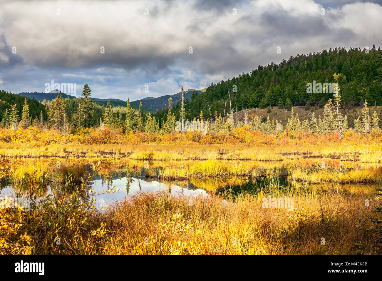 Adorable little lake Patricia Stock Photo - Alamy