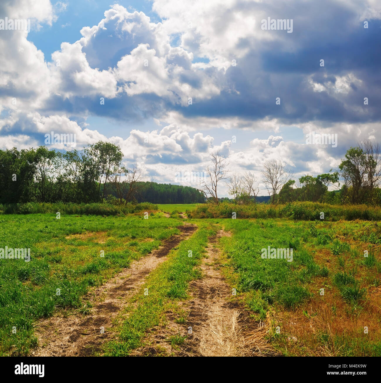 Country road through field sunny hi-res stock photography and images ...