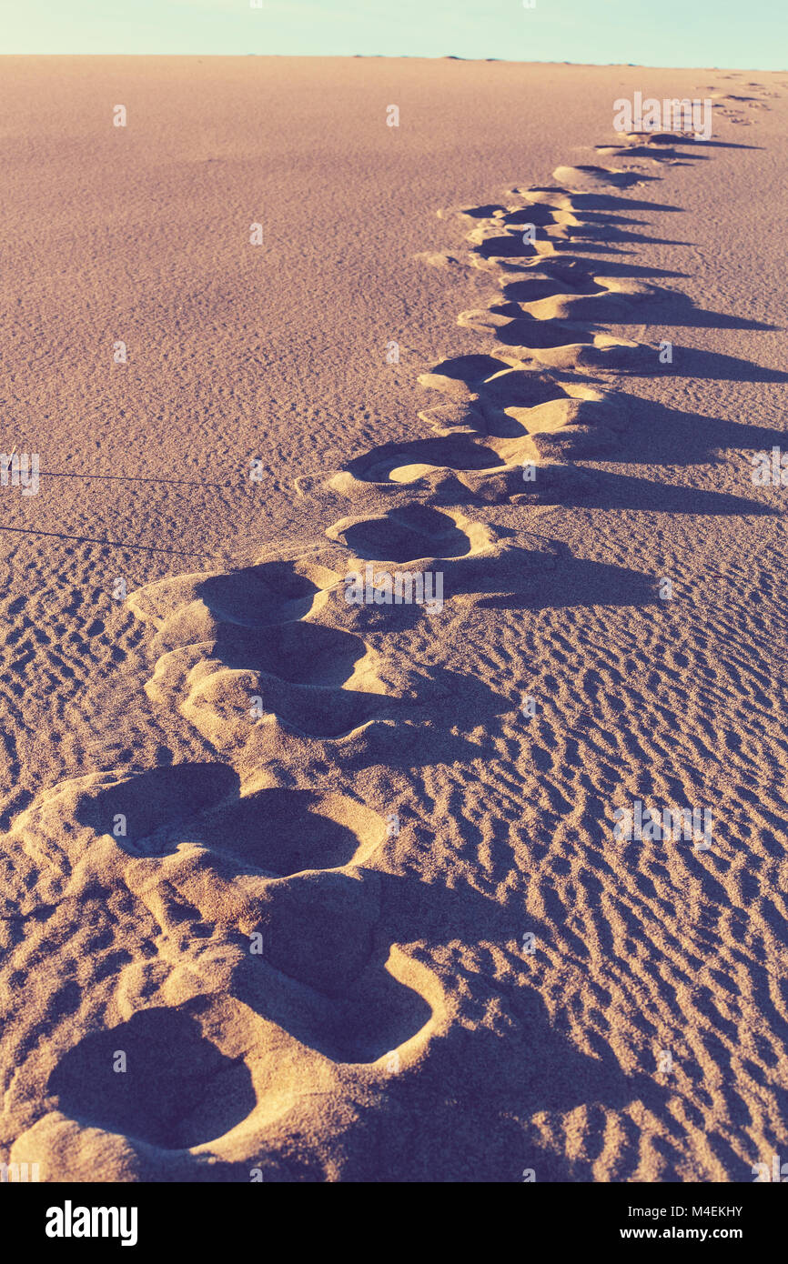 Search footprint hi-res stock photography and images - Alamy