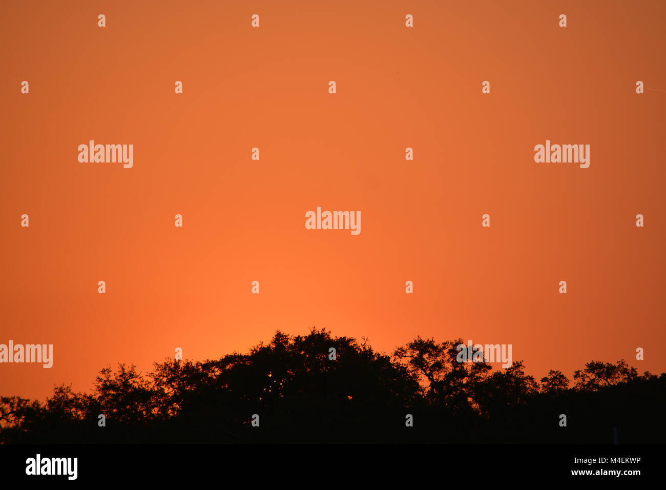 Bayou background hi-res stock photography and images - Alamy