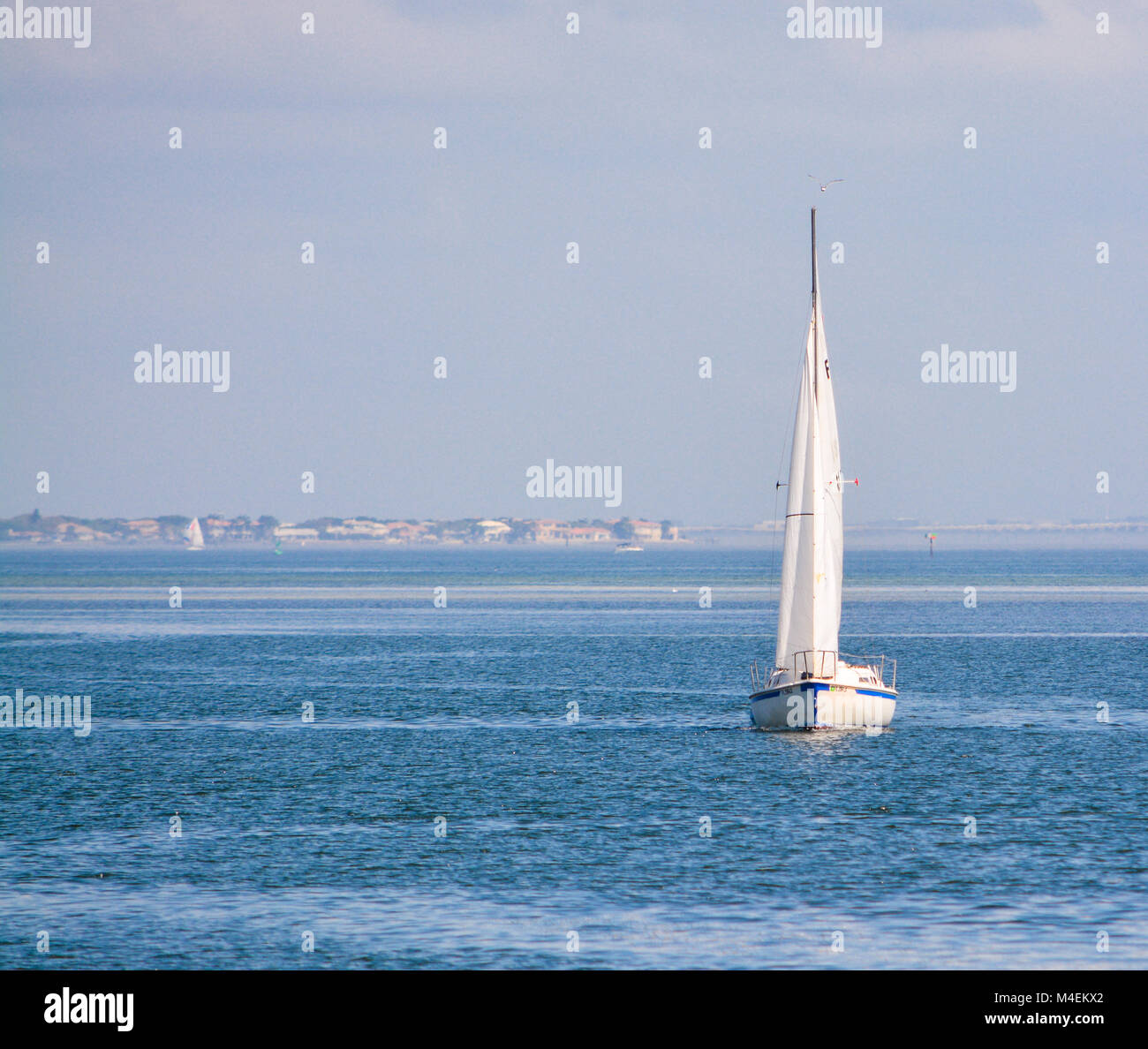 Bay sail boat hi-res stock photography and images - Alamy