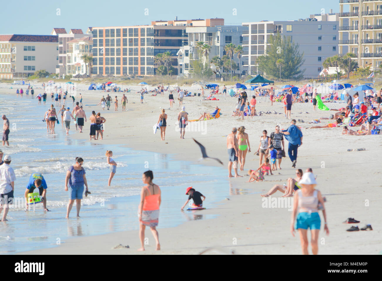 Madeira beach hi-res stock photography and images - Alamy
