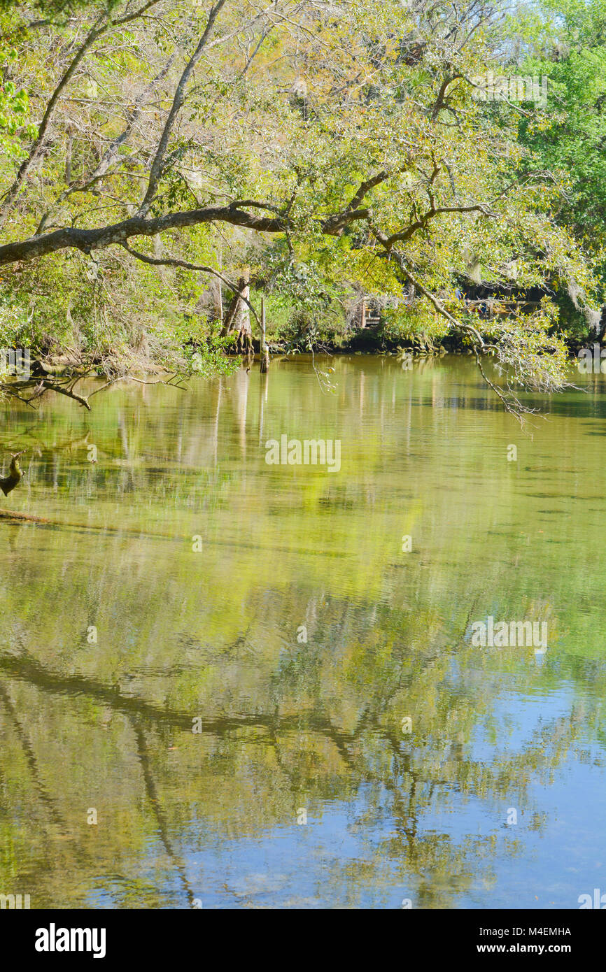 A beautiful river Stock Photo - Alamy