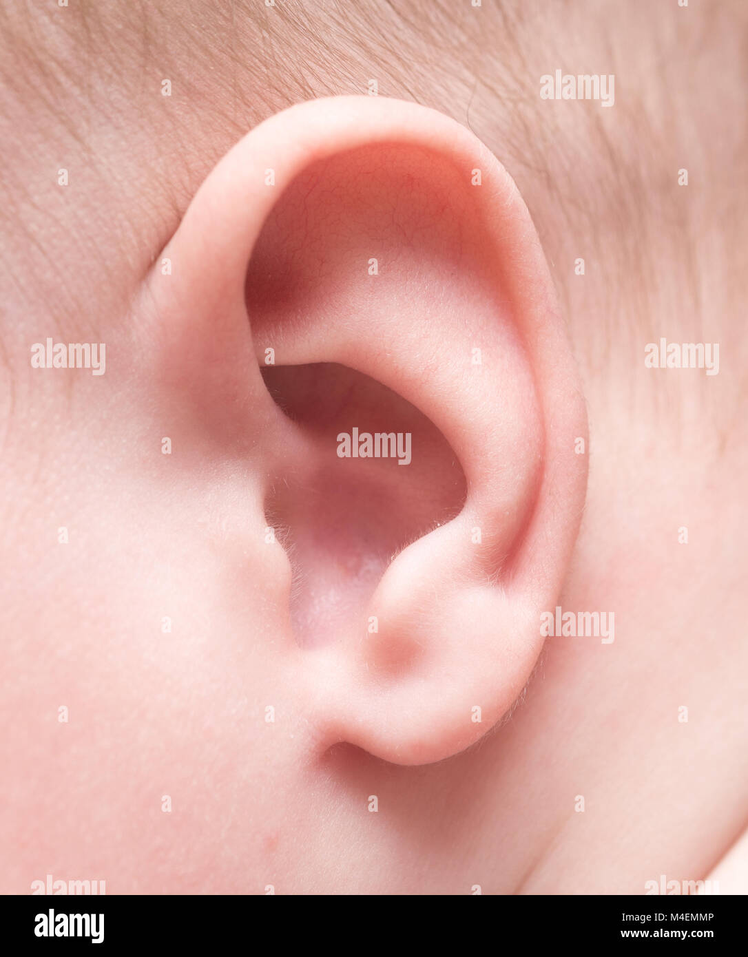 Baby ear hi-res stock photography and images - Alamy