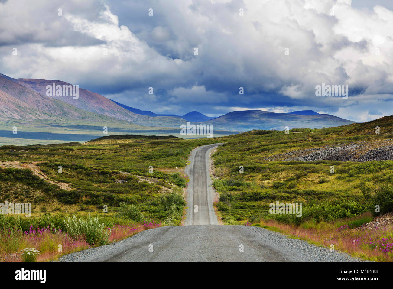 Denali highway hi-res stock photography and images - Alamy