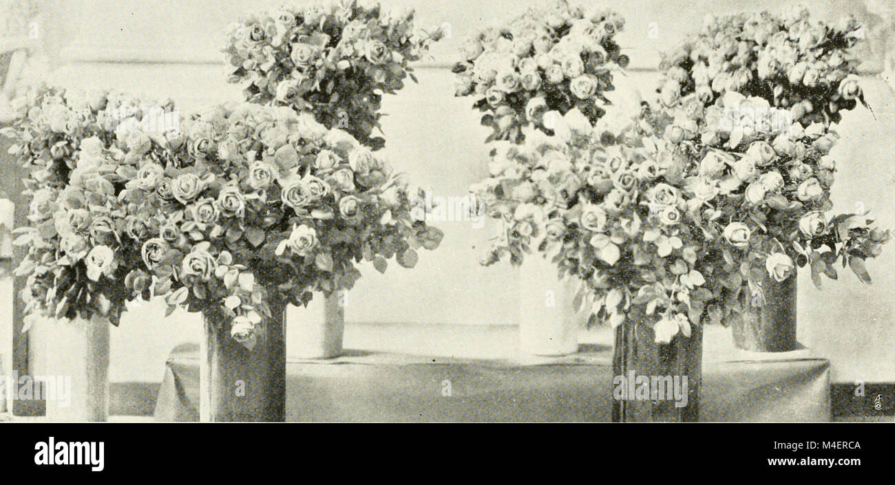 The 1905 Annual Proceedings and Bulletin covers reports on academic ...