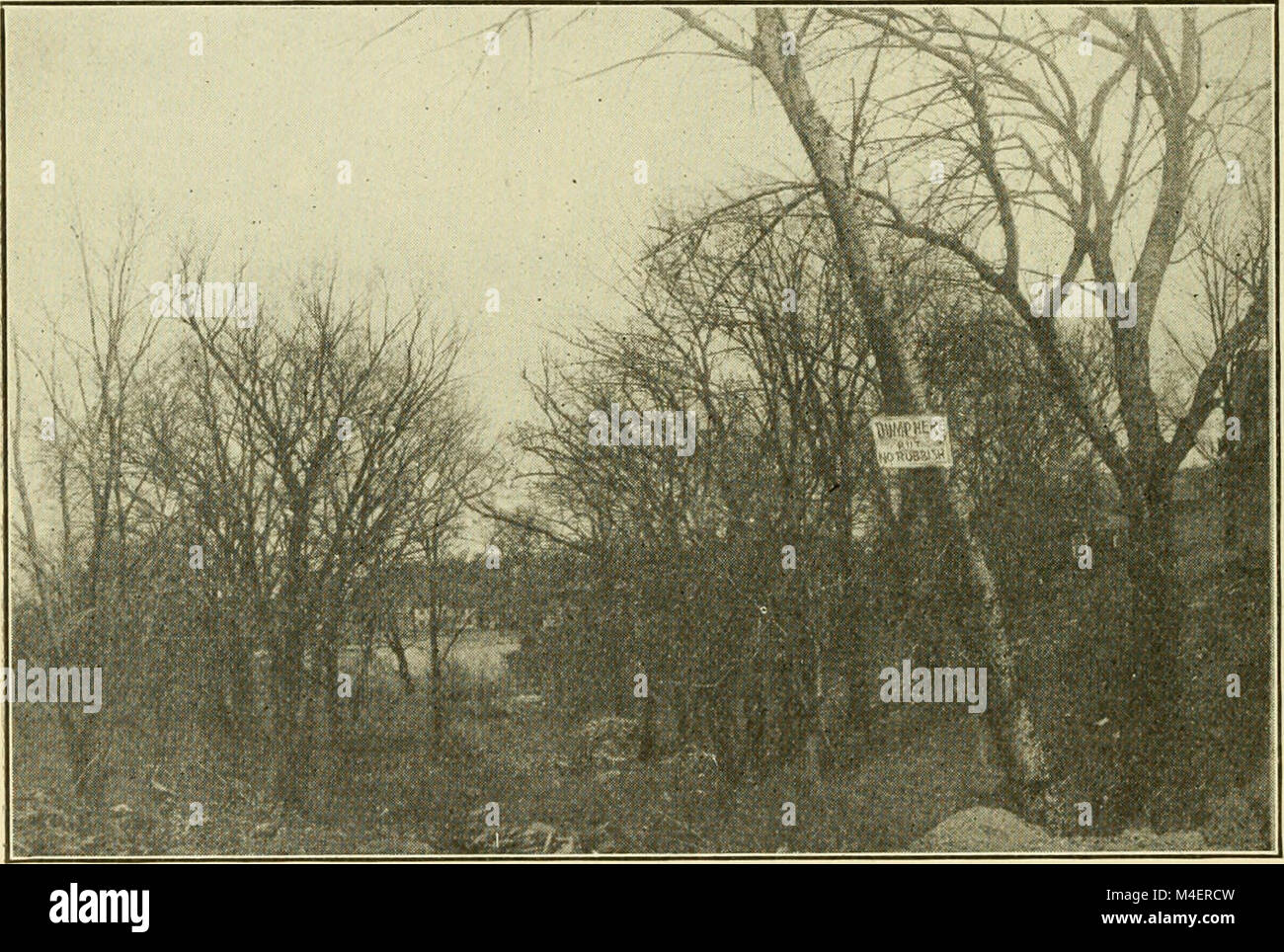 *Annual Program for Arbor Day in Rhode Island Schools* (1919) outlines ...