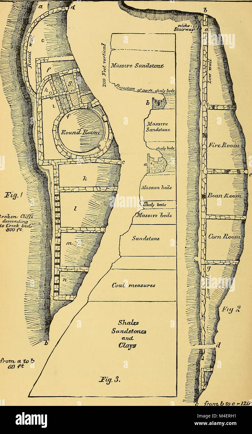 This annual report, covering the period from 1867 to 1878, presents ...