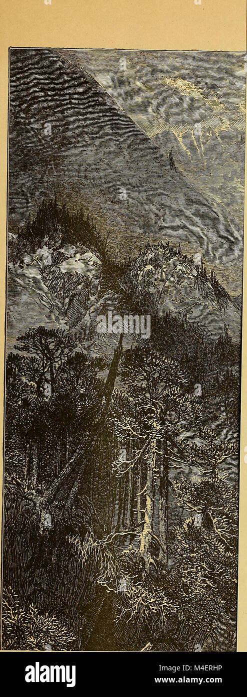 The *Annual Report* (1867-1878) provides a comprehensive overview of activities and ...