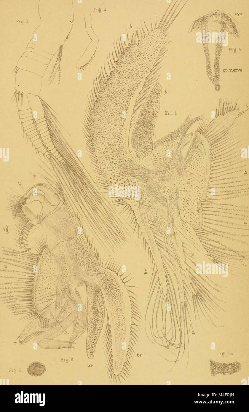 The 'Annual Report' (1867-1878) provides an overview of the activities, progress, and financial ...