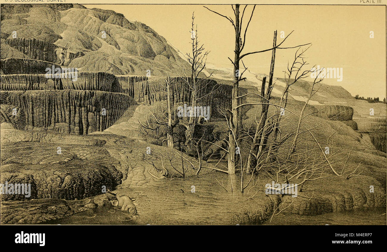 The Annual Reports (1867-1878) provide a historical overview of the operations and ...