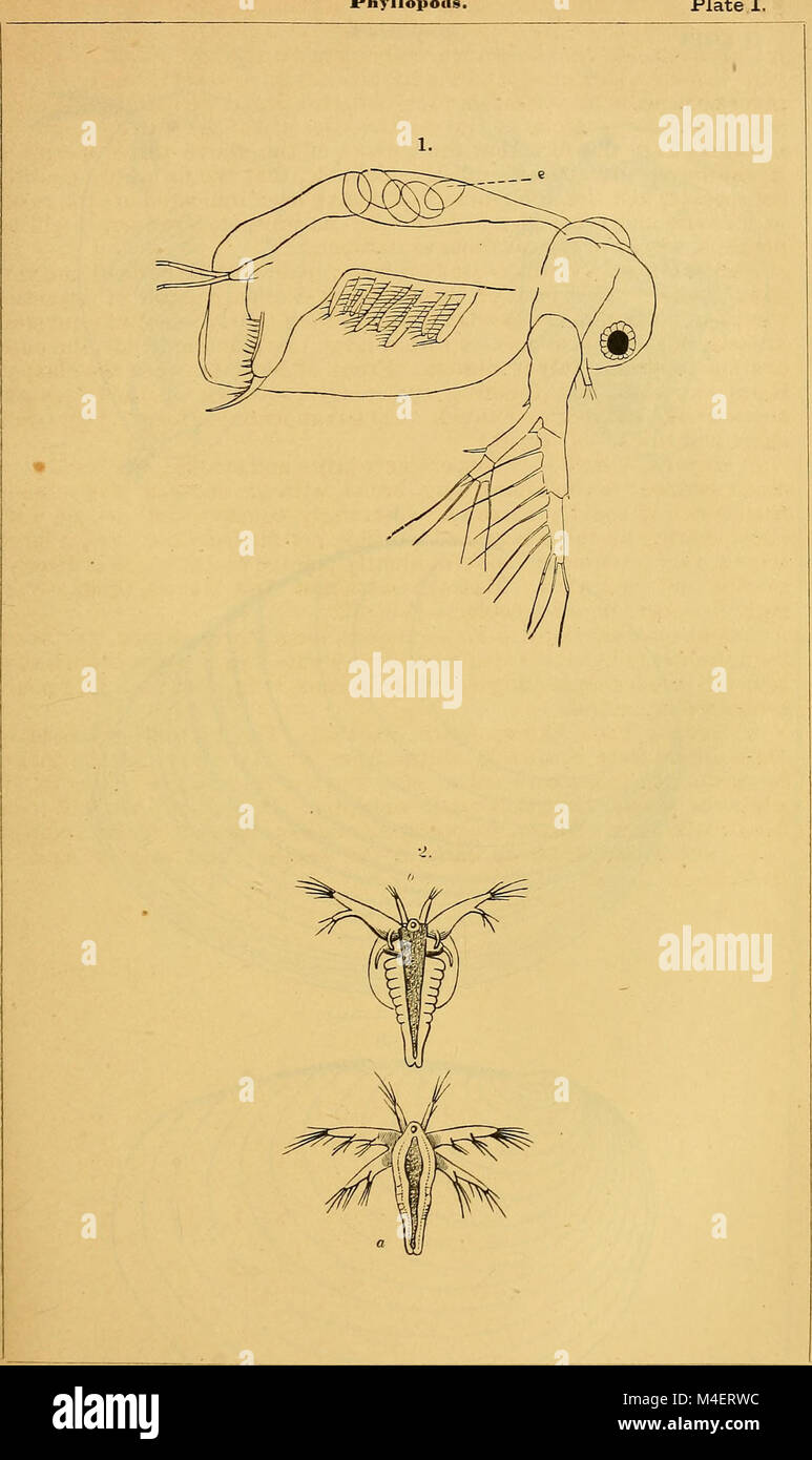 The 1st-12th Annual Reports (1867-1878) document the findings, research, and activities ...