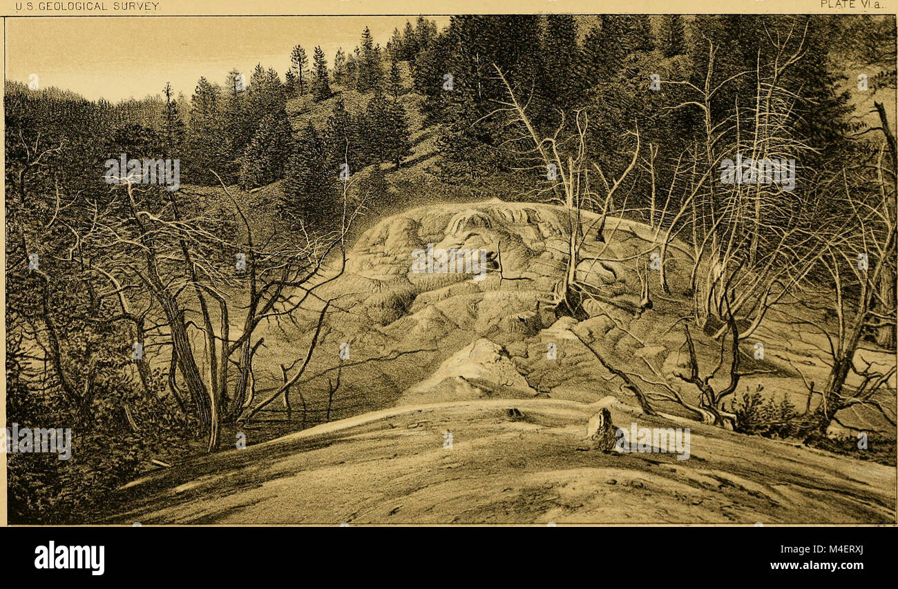 The Annual Report (1867-1878) includes important statistical data, observations, and conclusions ...