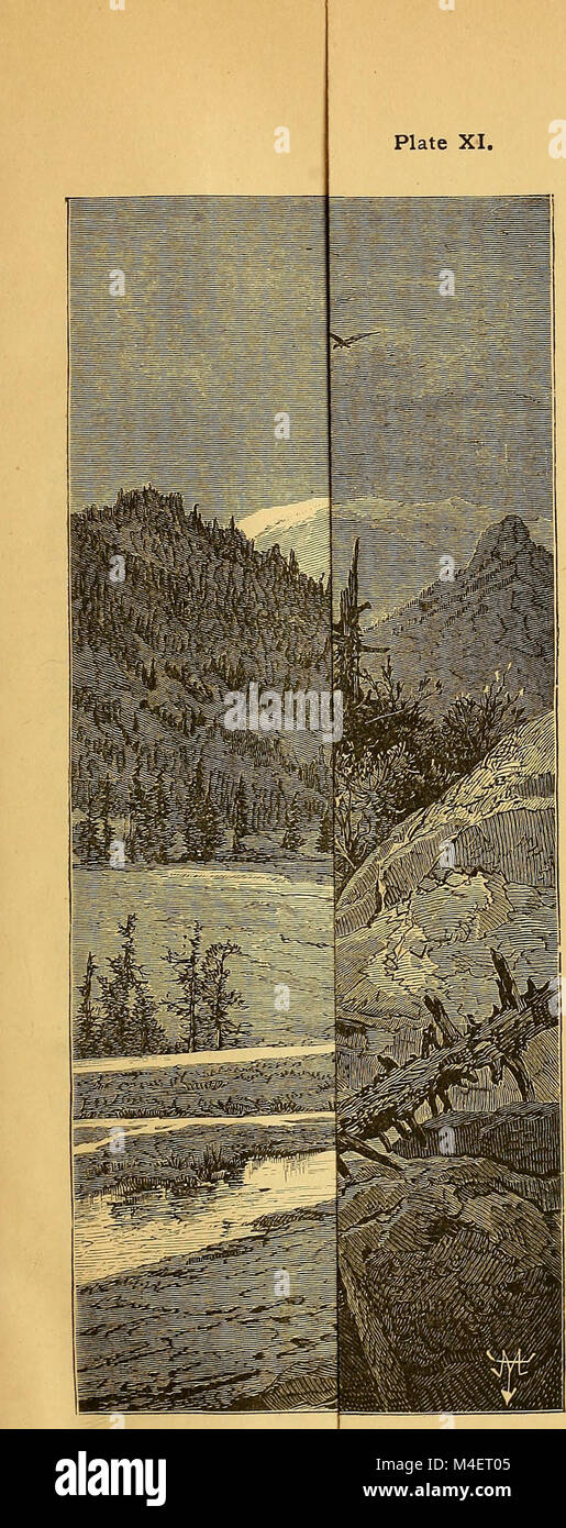 The first to twelfth annual reports (1867-1878) document the early years of institutional ...