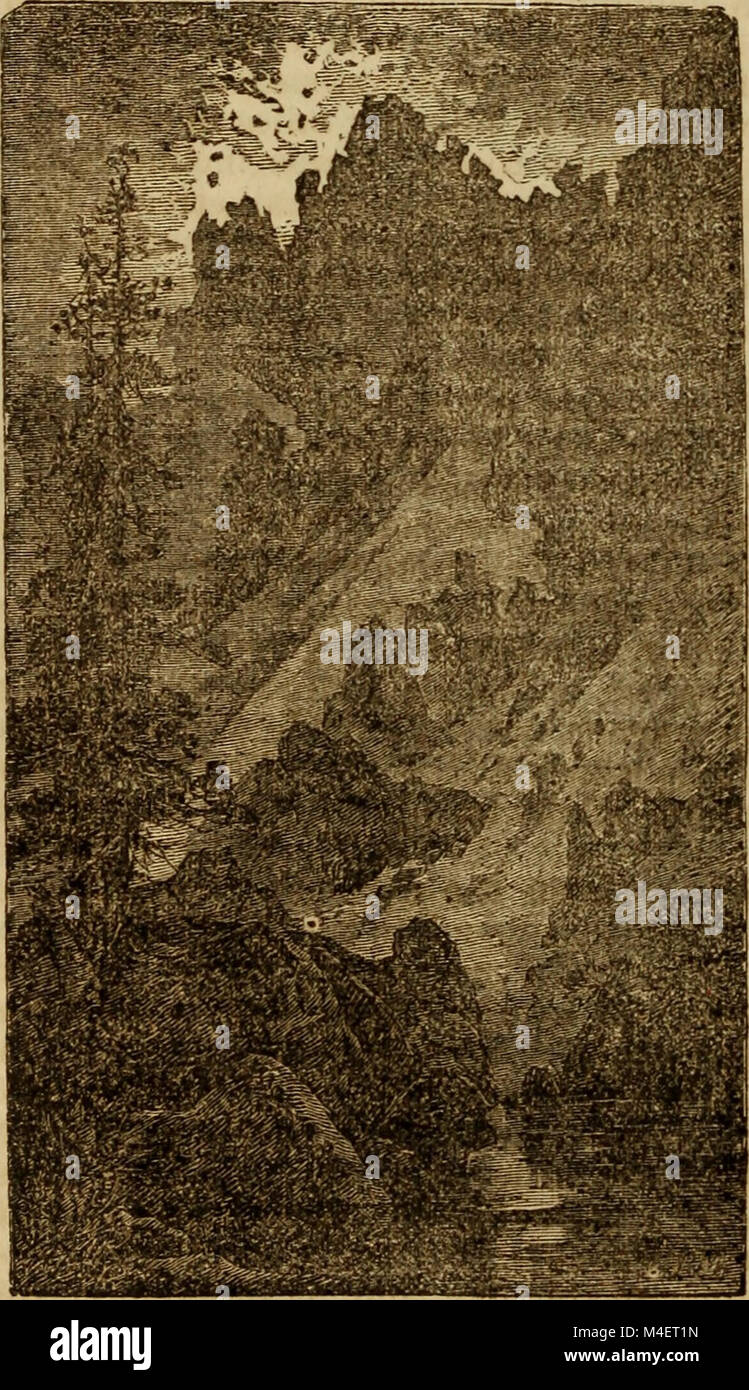 Annual report. 1st-12th, 1867-1878 (1867) (18428316461 Stock Photo - Alamy