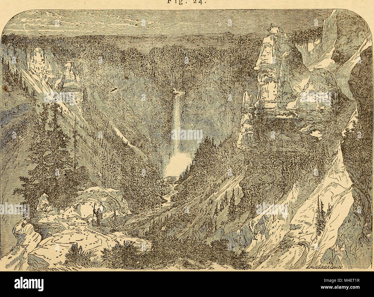 This annual report covers the years 1867 to 1878, documenting various activities, findings, and ...