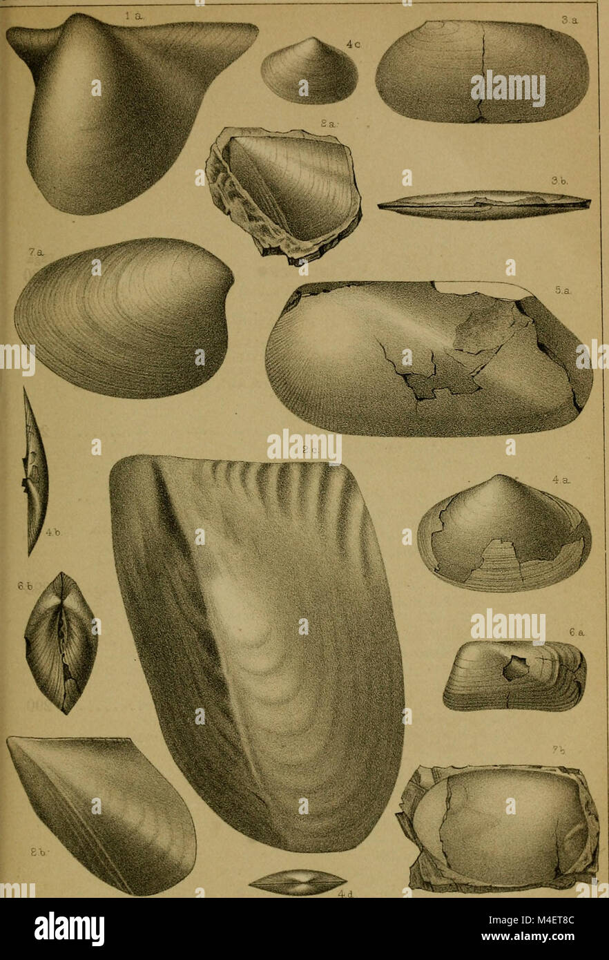 An annual report covering the years 1867-1878, detailing the activities, findings, and progress ...